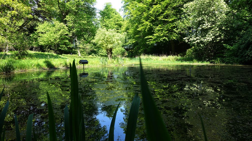 CASTLE & PARK | BURG BERUM - NATURE